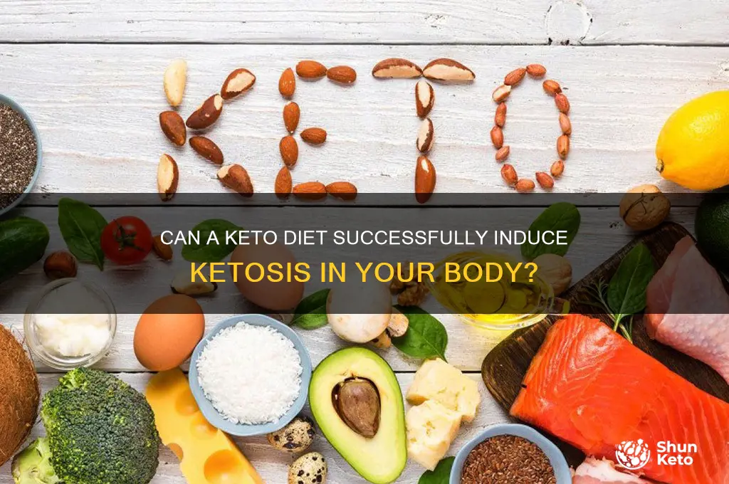 Can A Keto Diet Successfully Induce Ketosis In Your Body? | ShunKeto