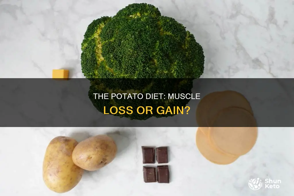 The Potato Diet: Muscle Loss Or Gain? | ShunKeto
