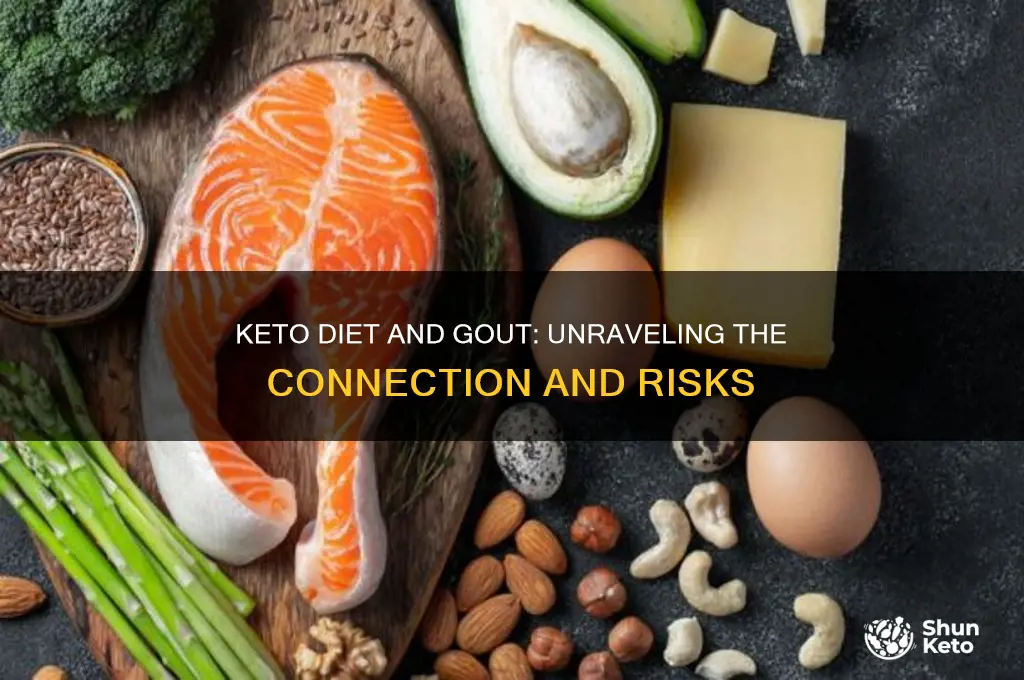 Keto Diet And Gout: Unraveling The Connection And Risks | ShunKeto