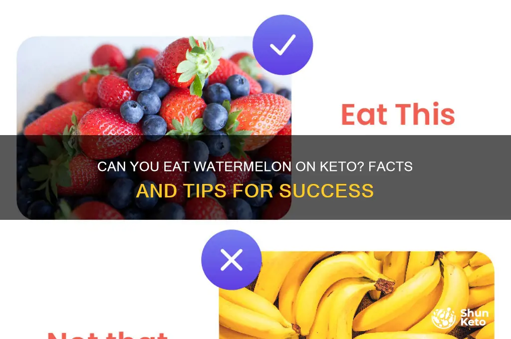 Can You Eat Watermelon On Keto? Facts And Tips For Success | ShunKeto